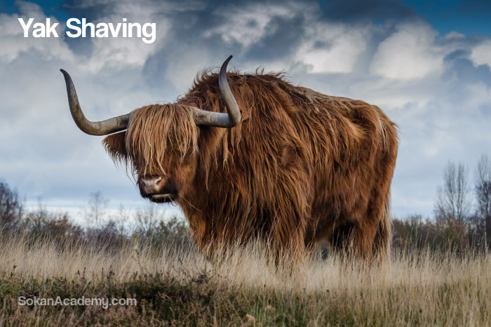 Yak Shaving: سَندرمی که برخی دولوپرها به آن دچار می‌شوند